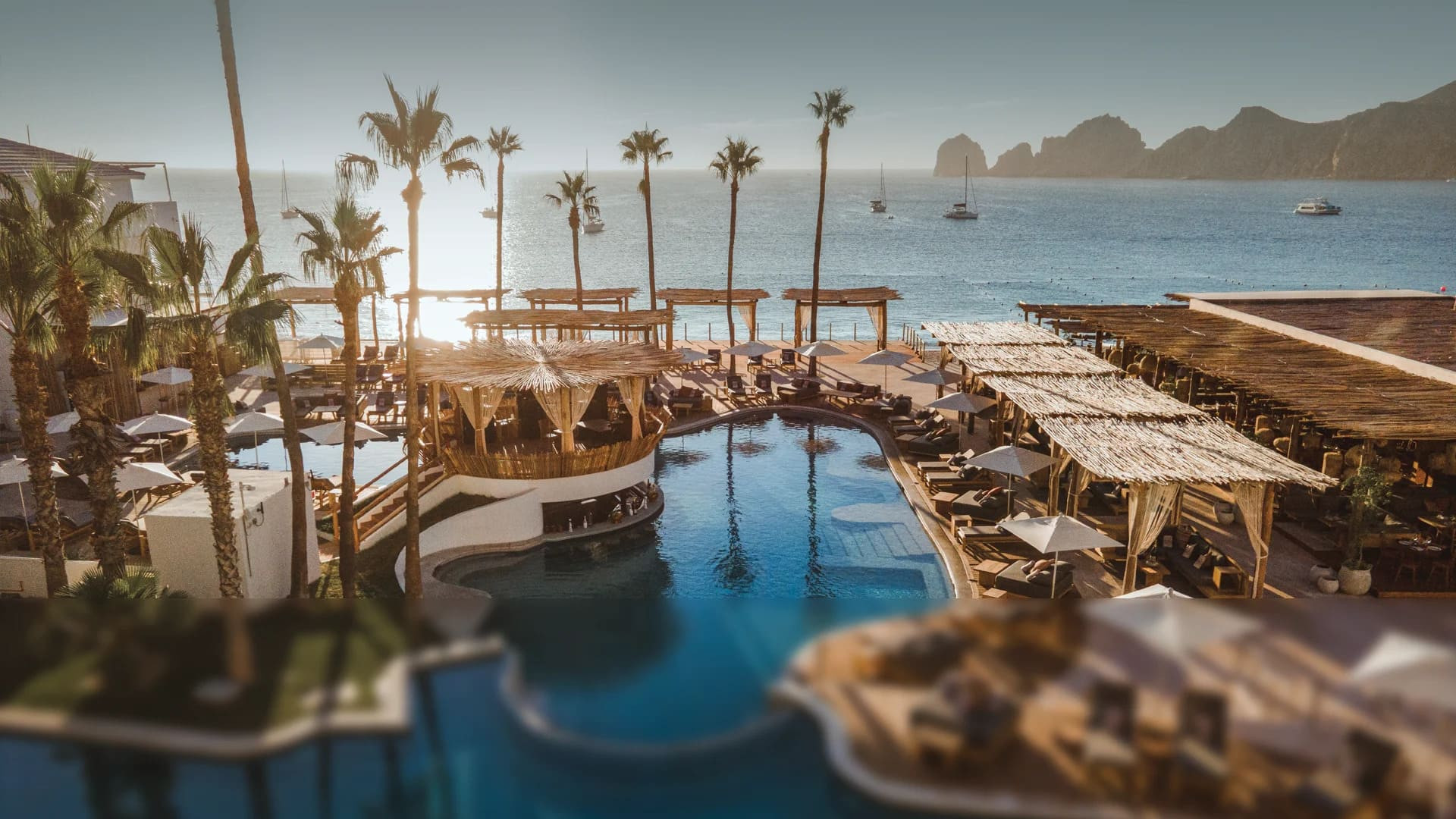 Visita el mejor club de playa en Los Cabos | Taboo beach Club