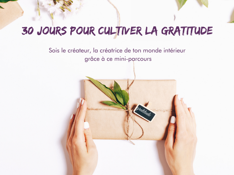 Ton journal gratitude et 30 jours de guidance | Evolyou