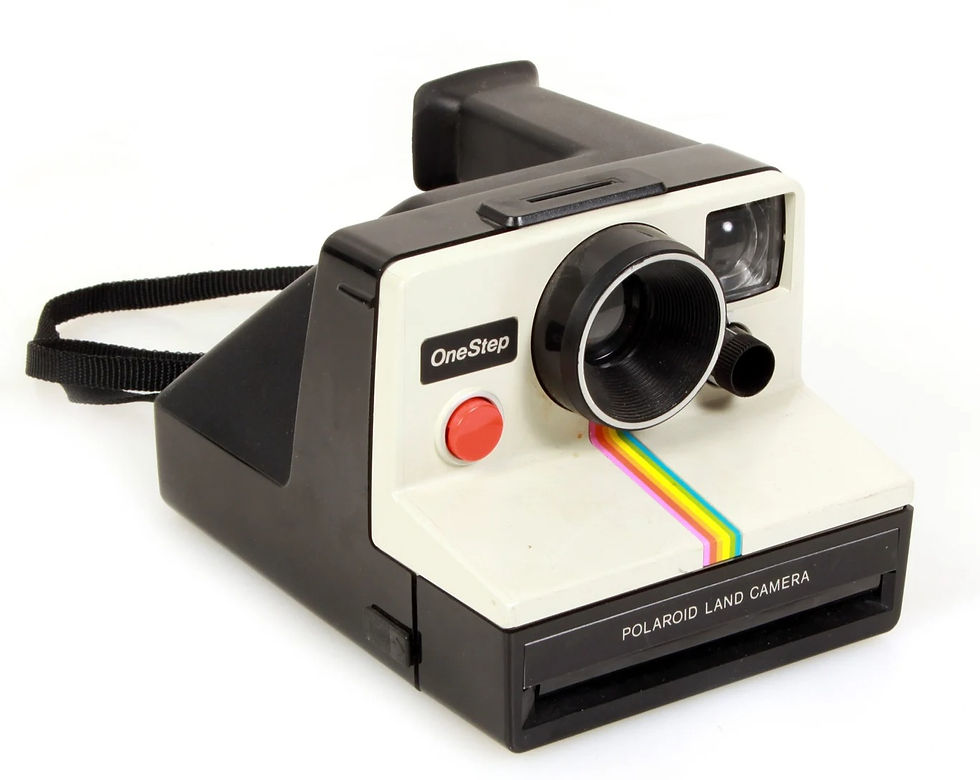 Shake It Like a Polaroid: Exploring the Fascinating History and Rare ...