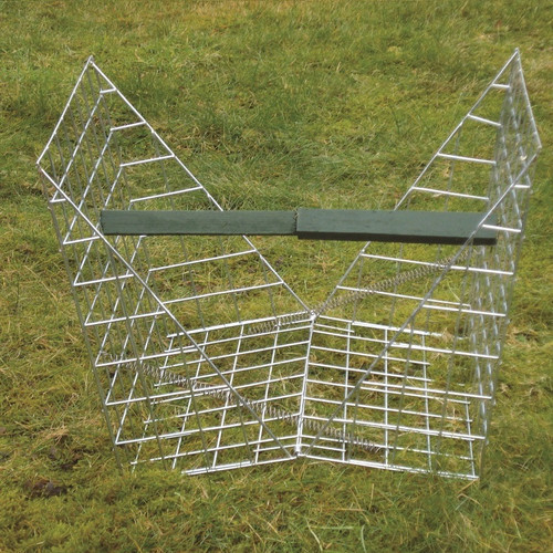 Larsen Mate | Game & Country