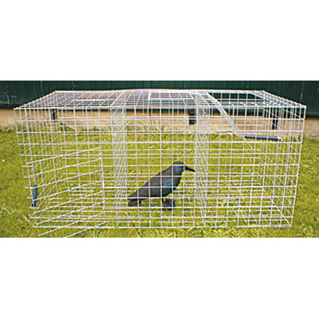Double Top Entry Larsen Traps | Game & Country
