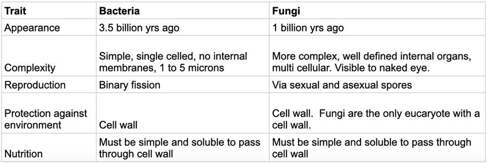 Fungi vs. Bacteria – Velocity Green
