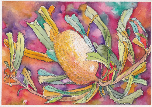 Banksia Fiesta A4 | Adele Walker Designs