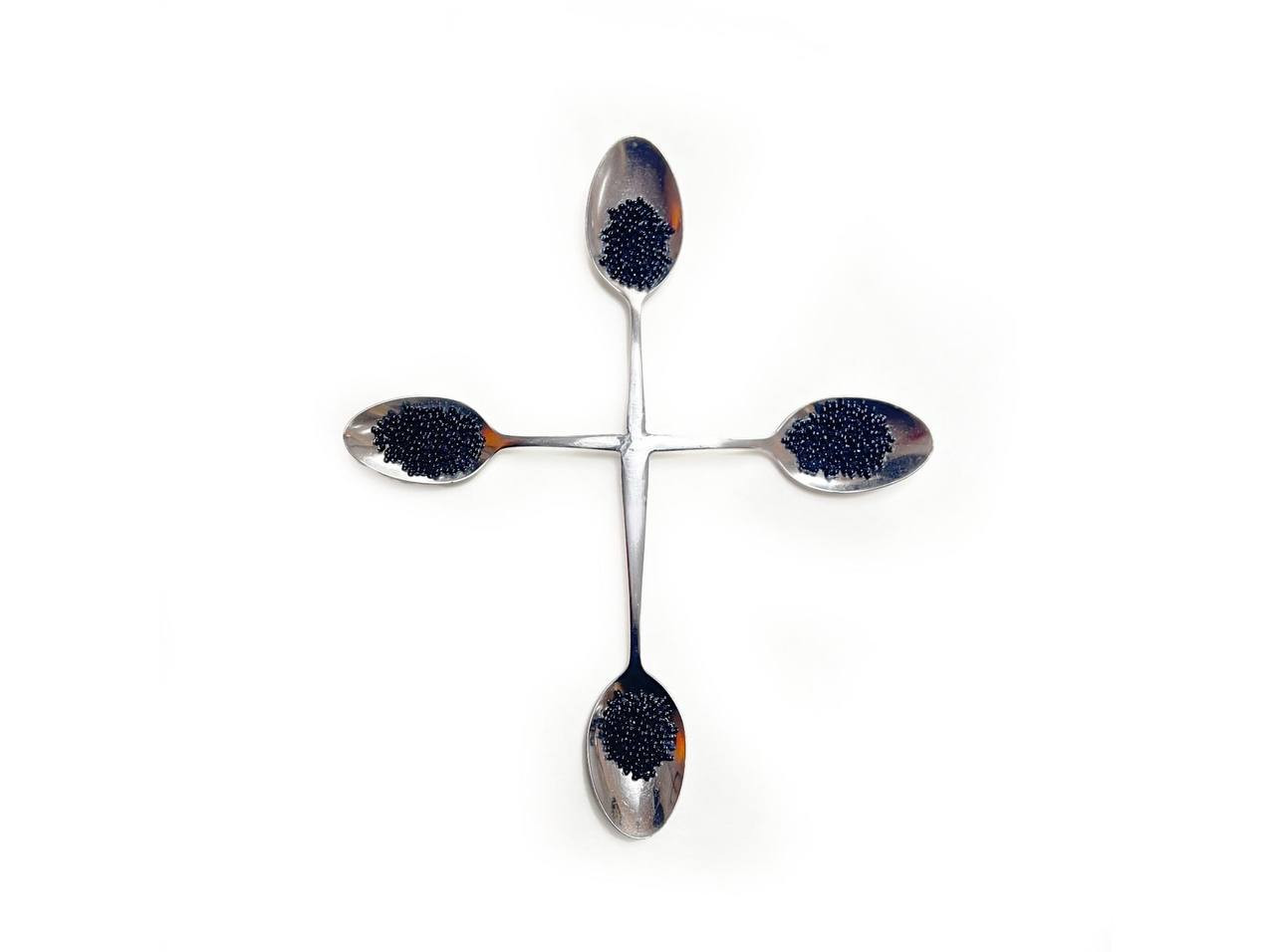 PERSIAN LESSONS | Vlad Ogay