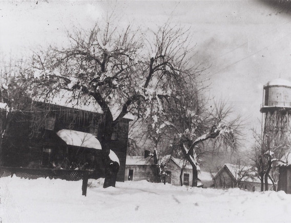 Museum | Dibble House Museum