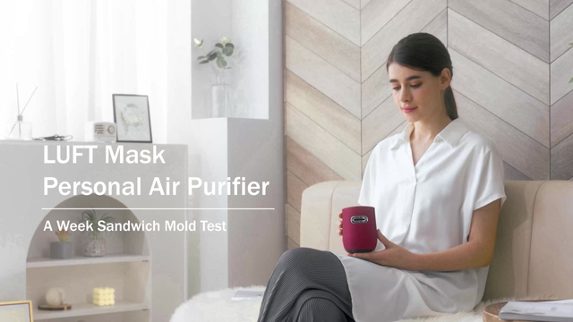 🌬️ Luftqi 空氣淨化器實驗影片公開！ | LUFTQI