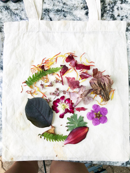 Benji's Plants and Maintenance in Greater Toronto Area, ON, Canada