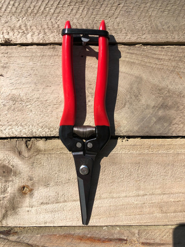 ARS 300L Long Nose Fruit Snip | Subtropica