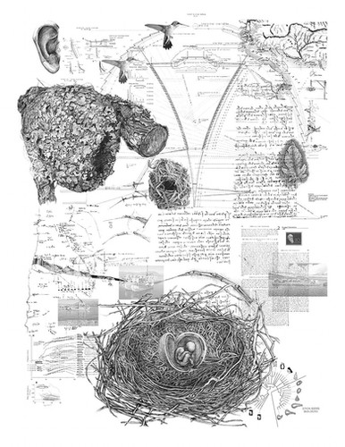 Bird Architecture | Galerie Green