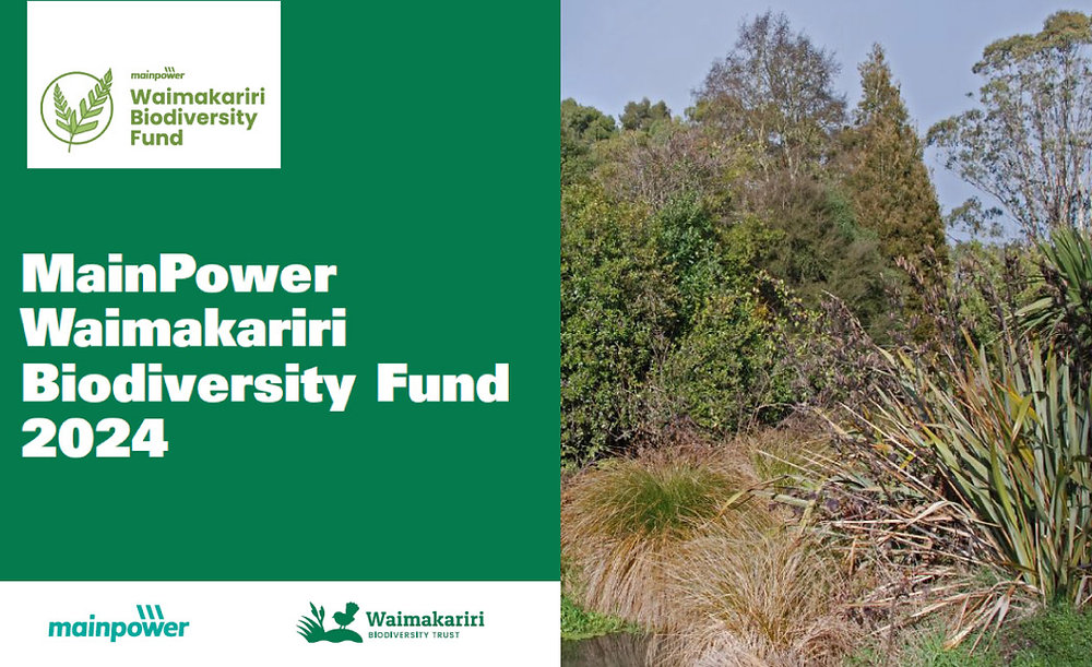 Waimakariri Biodiversity Fund 2024 recipients