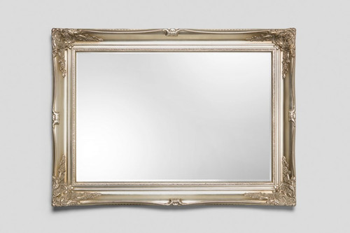 6860 SILVER | Frames & Finishes