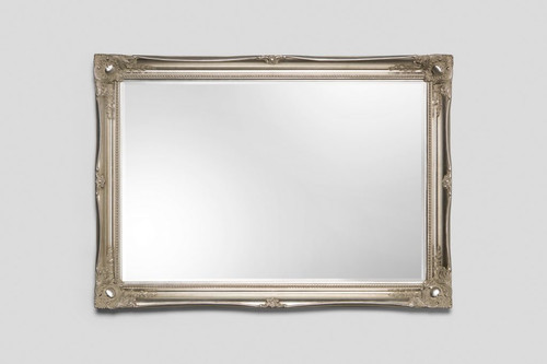 491 SILVER | Frames & Finishes