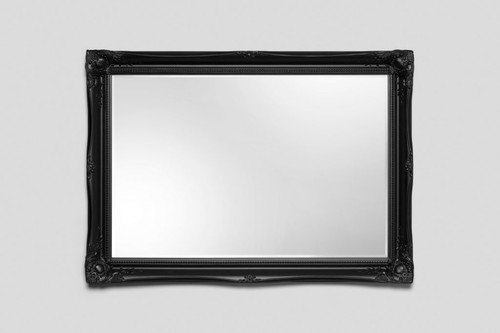 491 BLACK | Frames & Finishes