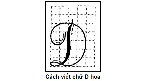 Cách viết chữ D hoa