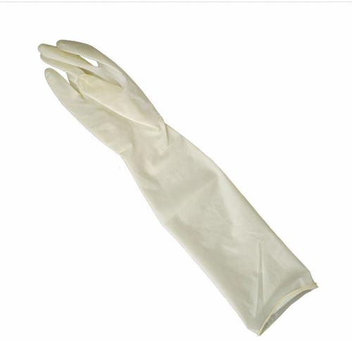 Sterilization Gynecological Latex Surgical Gloves | IBC GROUP MEDICAL