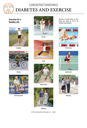 Diabetes and Exercise - Anatomical Wall Chart | BSI Catalog