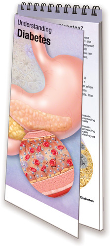 Understanding Type 2 Diabetes - Spiral-bound Pamphlet | BSI Catalog