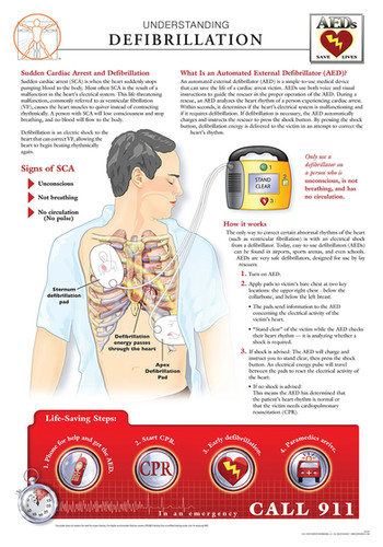 Understanding Defibrillation - Anatomical Wall Chart | BSI Catalog