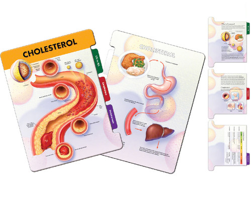 Cholesterol - Slider Board | BSI Catalog