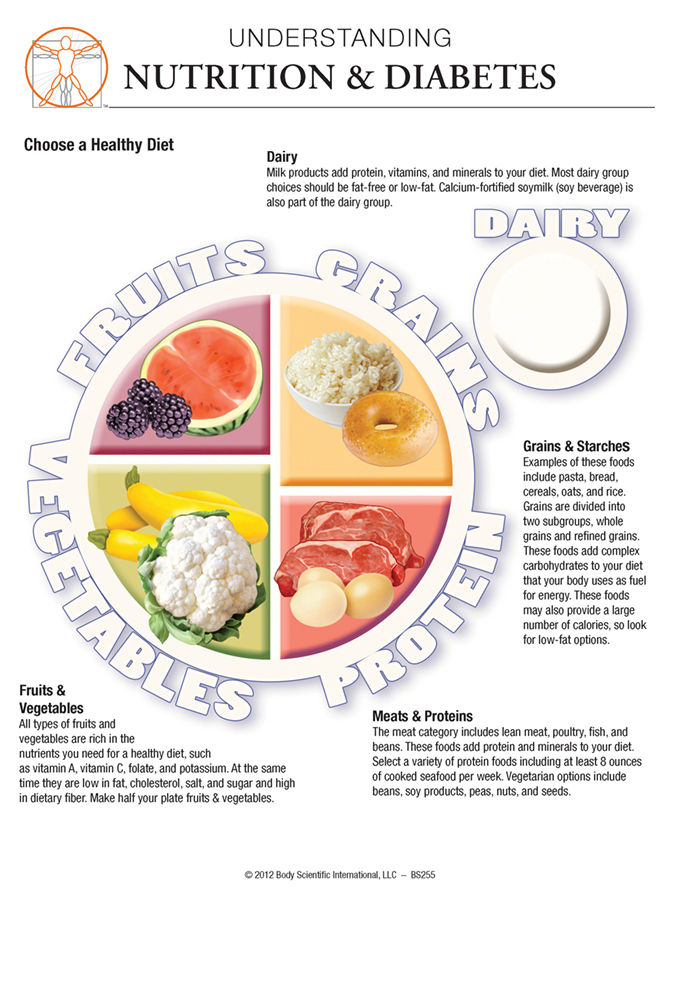 Nutrition and Diabetes - Anatomical Wall Chart | BSI Catalog