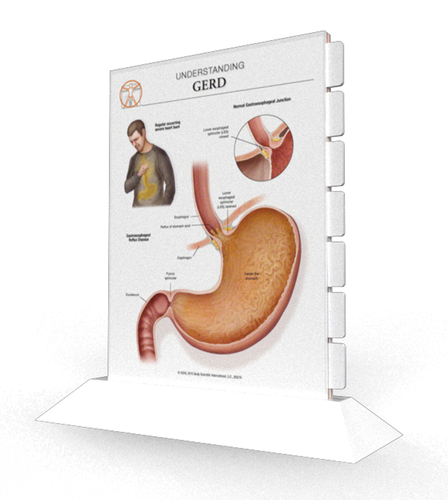 GERD - Multi-tab Slider Model | BSI Catalog