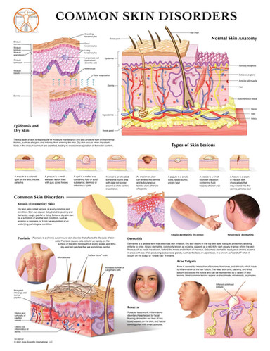Common Skin Disorders | BSI Catalog