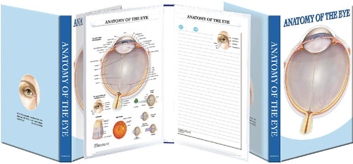 Anatomy of the Eye - Medical Book (Tri-fold) | BSI Catalog