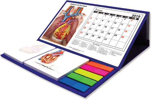 Heart Anatomy - Desktop Calendar | BSI Catalog