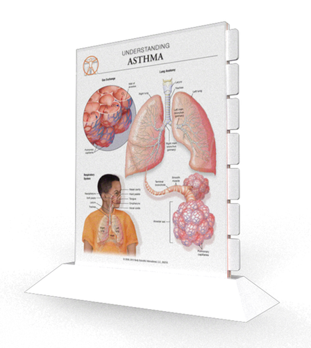Asthma - Multi-tab Slider Model | BSI Catalog