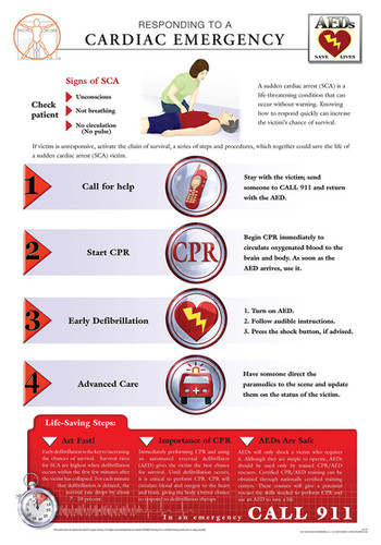 How to Use an AED - Anatomical Wall Chart | BSI Catalog