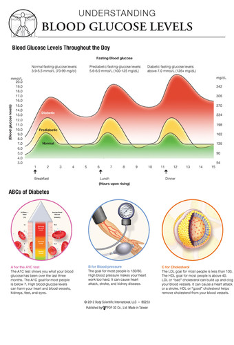 Blood Glucose Levels - Anatomical Wall Chart | BSI Catalog