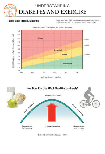 Diabetes and Exercise - Anatomical Wall Chart | BSI Catalog