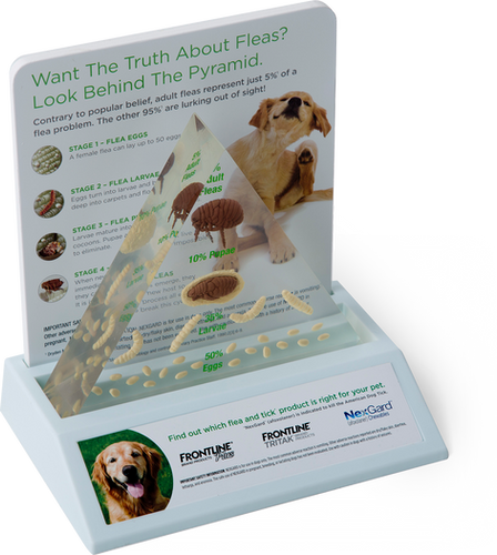 Flea - Model | BSI Catalog