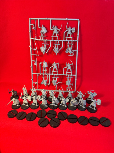 Minas Tirith warriors army x30 (WMT50) | muster the Rohirrim