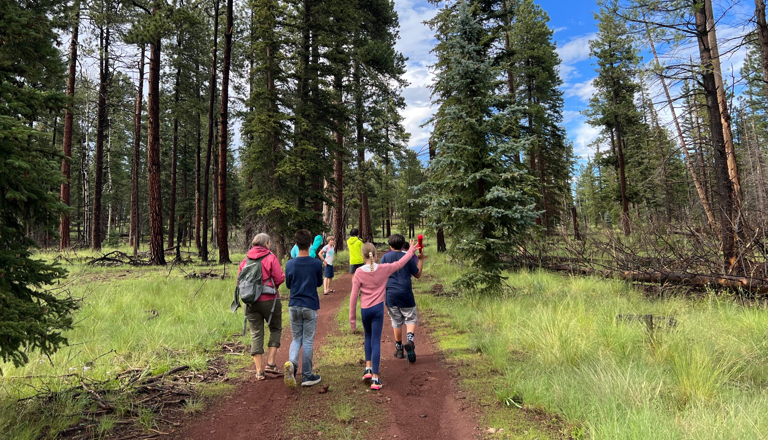 Outdoor Programs | Wild Canyon Discovery | Page