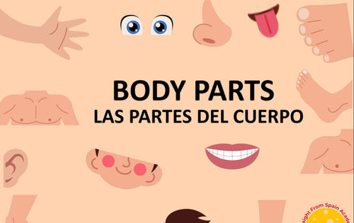 El Cuerpo Humano – Body Parts in Spanish | Straight from Spain