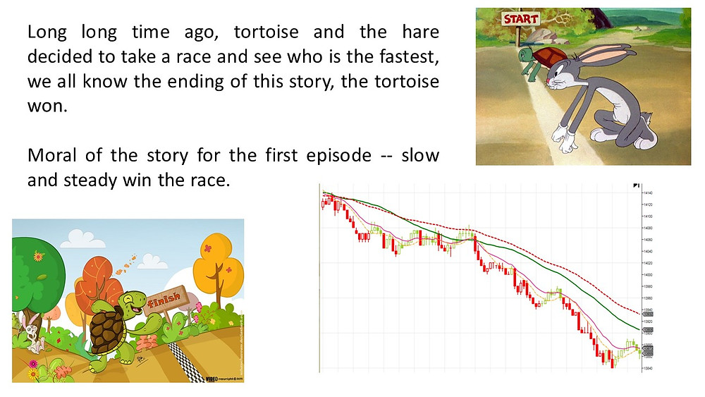Tortoise & The Hare Race