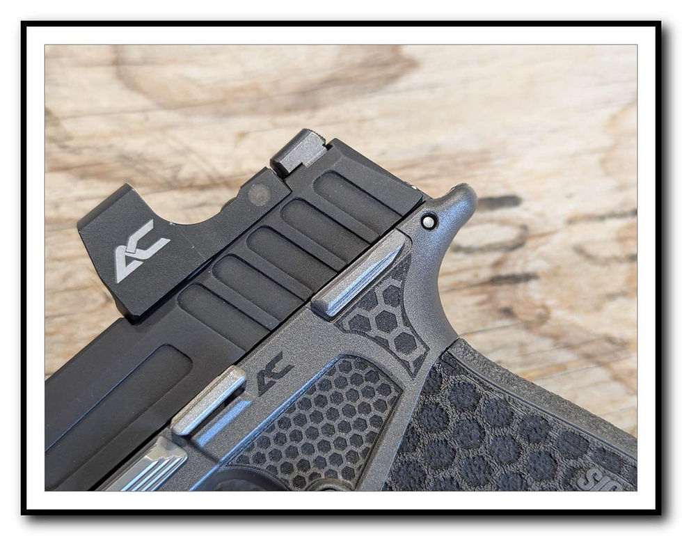 Sig Sauer P365 P365XL XMACRO Tool Steel FCU Receiver Pin | armorycraft