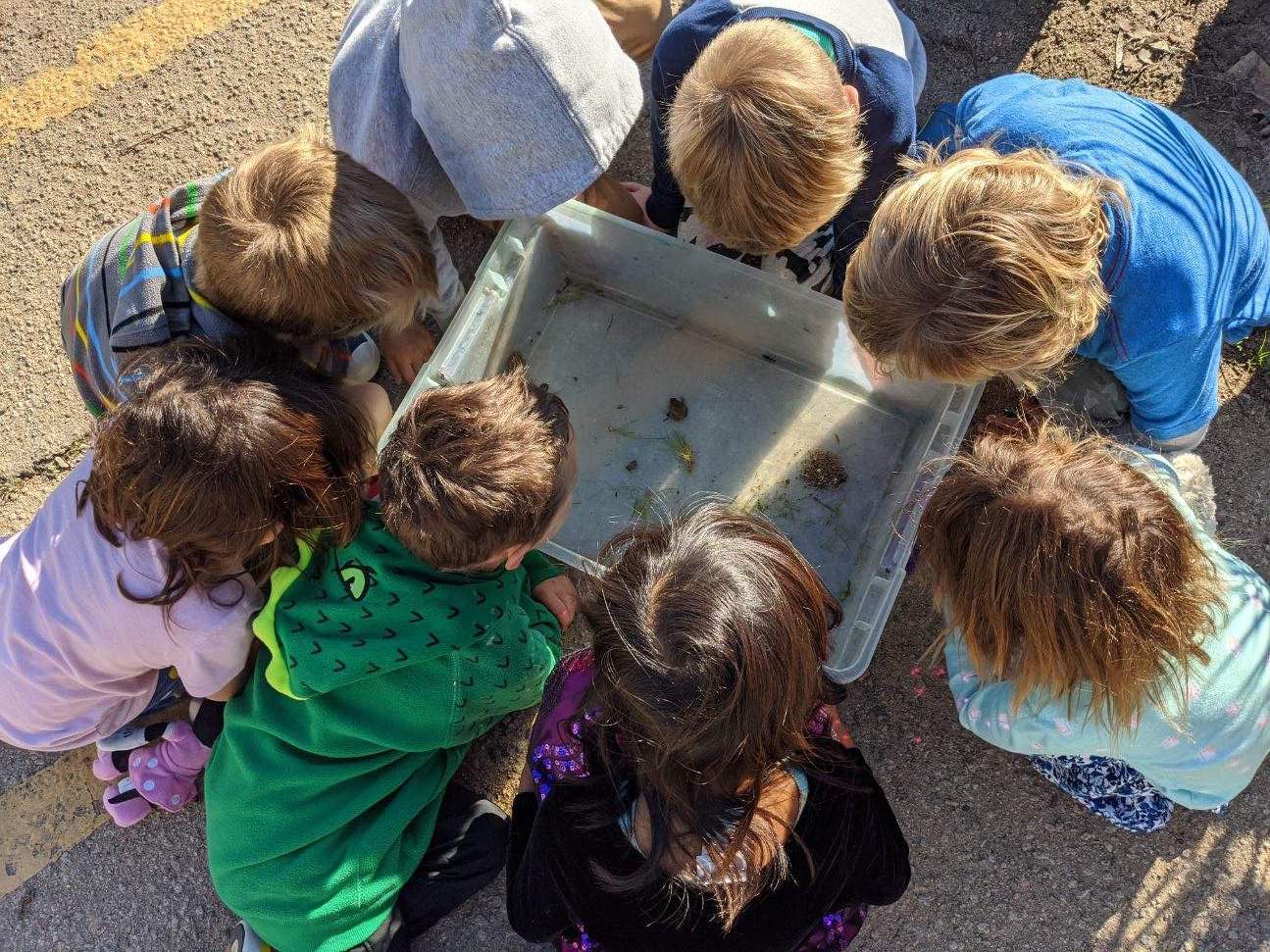 Child Care Center | Bright Life Playschool, Inc. | United States