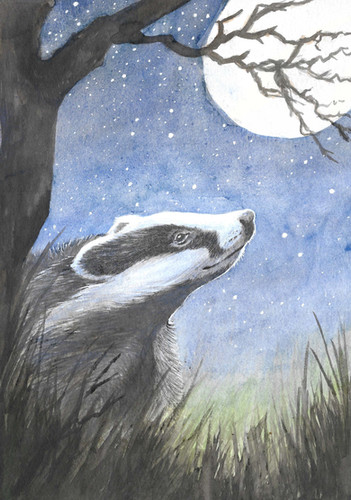 Badger's moon - Original Indian Ink & Watercolour Badger Painting | vic ...