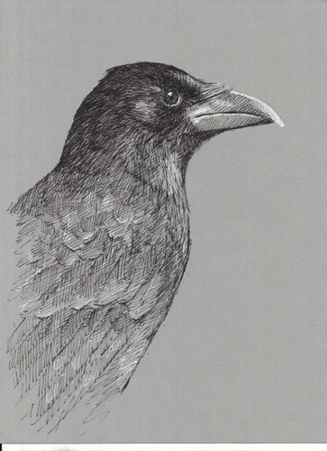 Crow in Graphite & White Gel Pen - Original Drawing | vic-website-2017