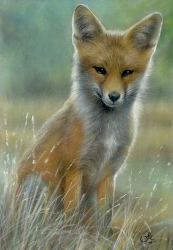 Fox Cub in Pastel on Velour Original Painting | vic-website-2017