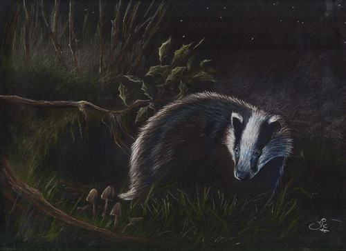 'Night Stalker' - Original Badger Painting | vic-website-2017