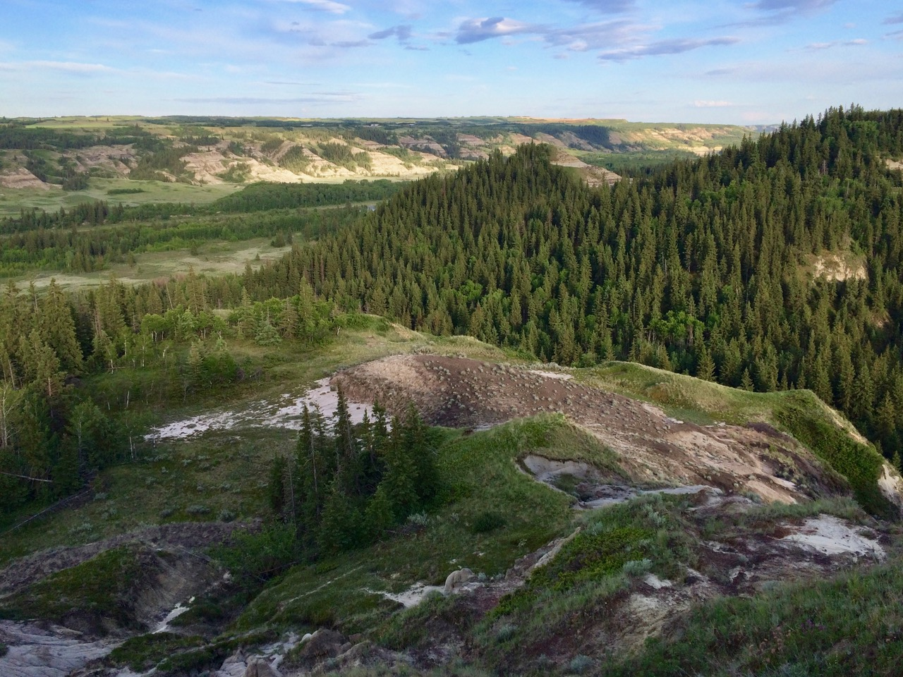 Trenville Park Campground | Photo Gallery