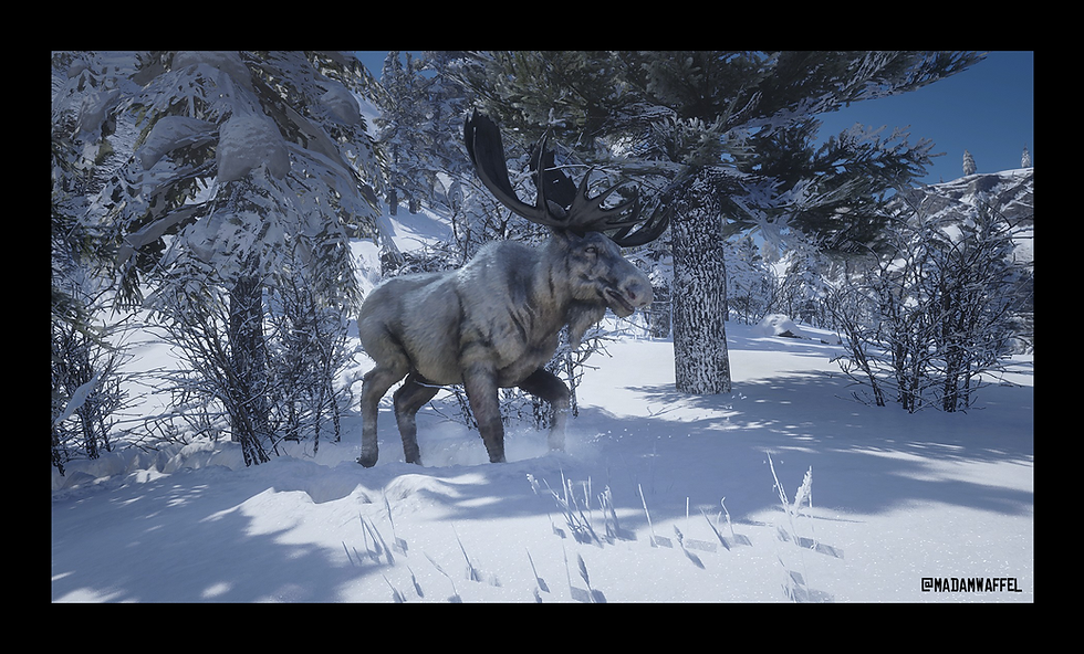 Red Dead Online: Como e onde encontrar a lendária localização do ...