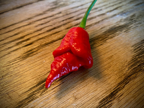 7 Pod Oracle | SKOD Peppers