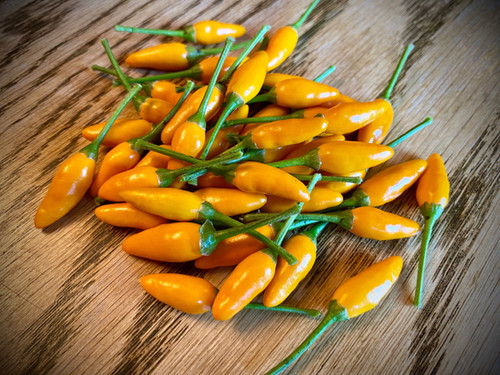 Pequin Yellow | SKOD Peppers