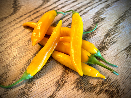 Aji Chin Chin Orange | SKOD Peppers