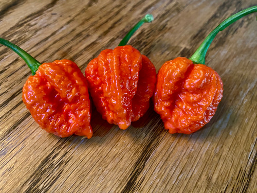 Skunk Red | SKOD Peppers
