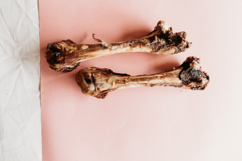 Kangaroo femur bone | Dog Snacks